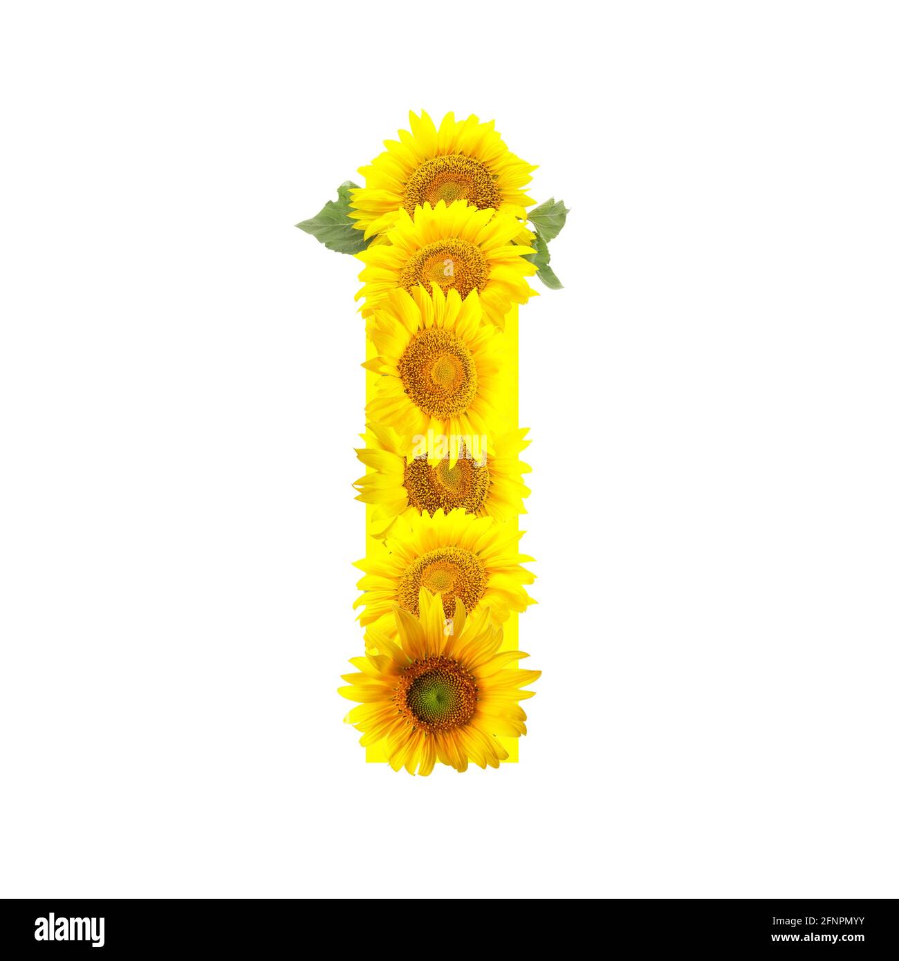 Letter I made of beautiful sunflowers on white background Stock Photo ...