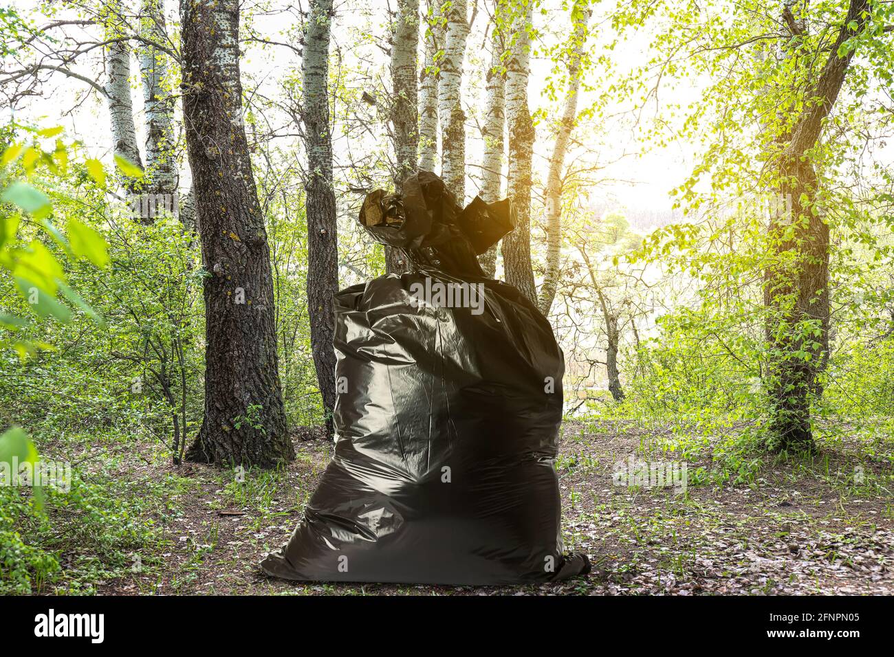 Gathered garbage in forest. Ecology concept Stock Photo - Alamy