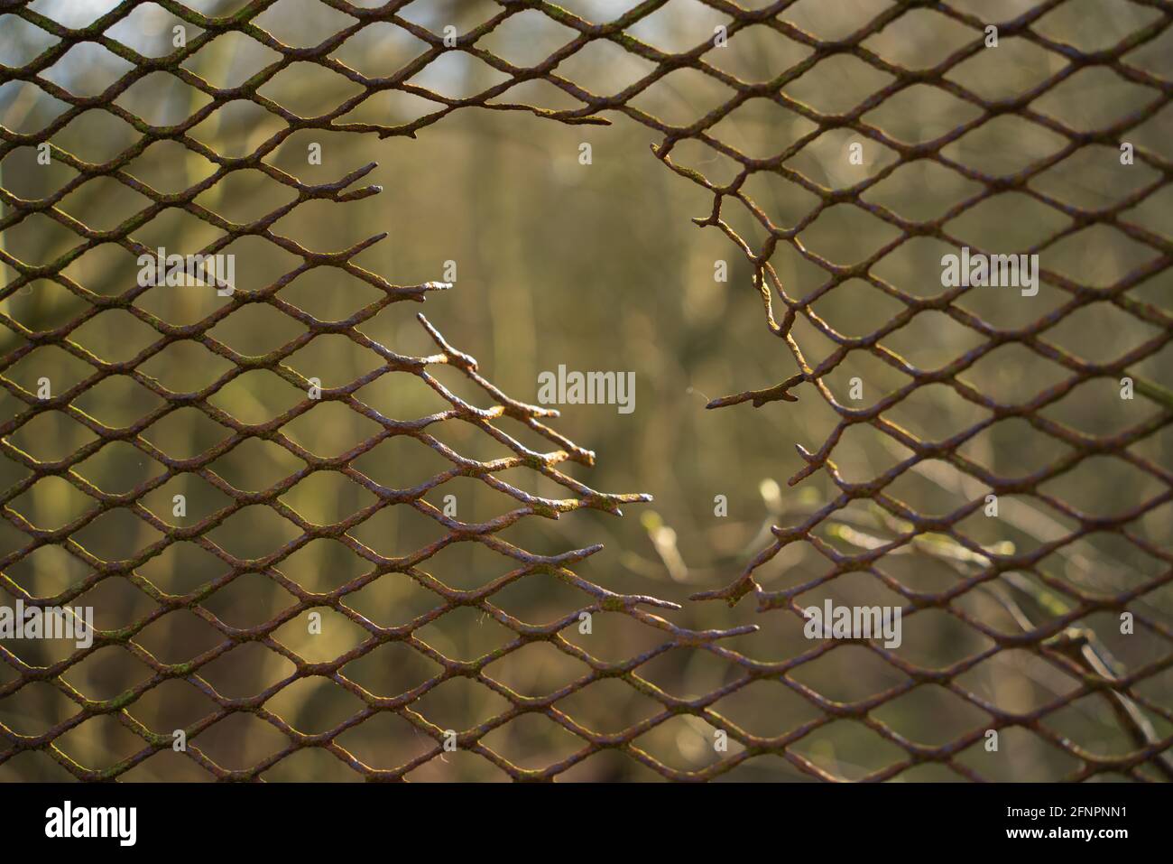 Heavy duty, wire fencing, safety fence, blown out, hole in fence ...