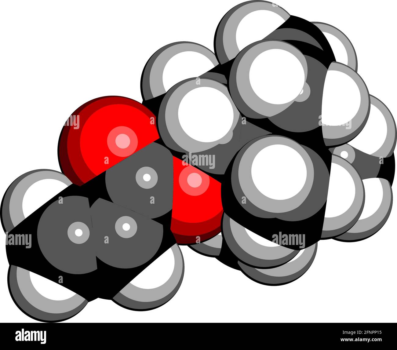 Iboa Stock Vector Images - Alamy