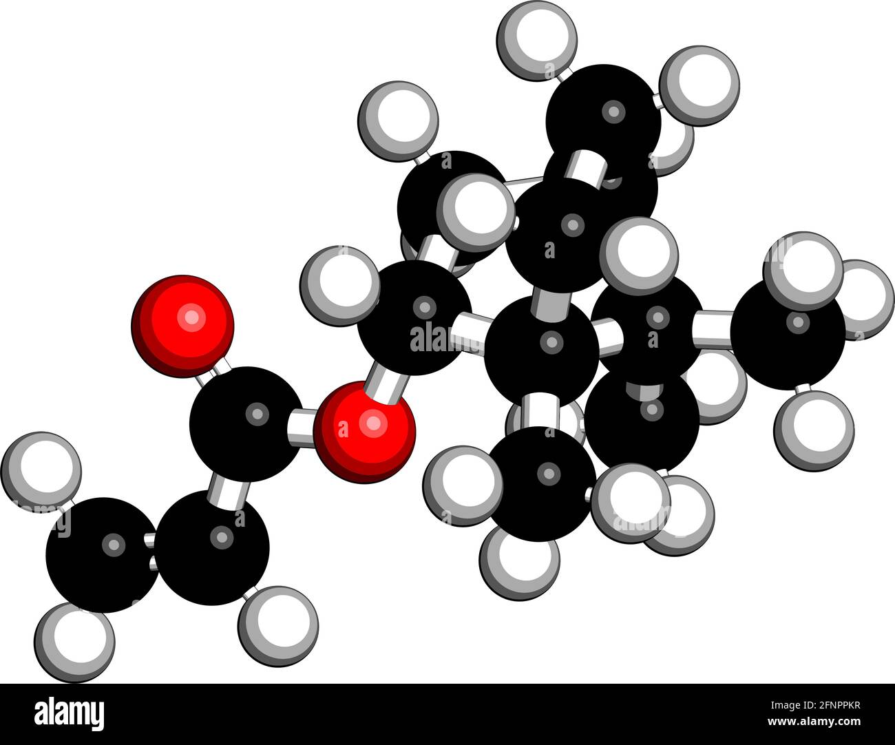 Isobornyl acrylate molecule. 3D rendering. Atoms are represented as ...