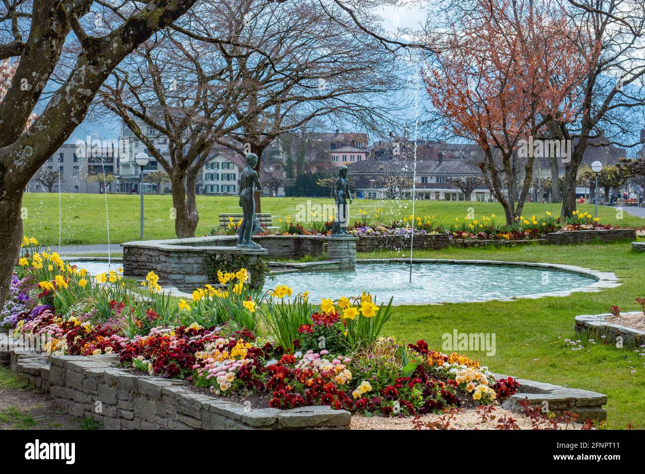 Beautiful Park In Spring