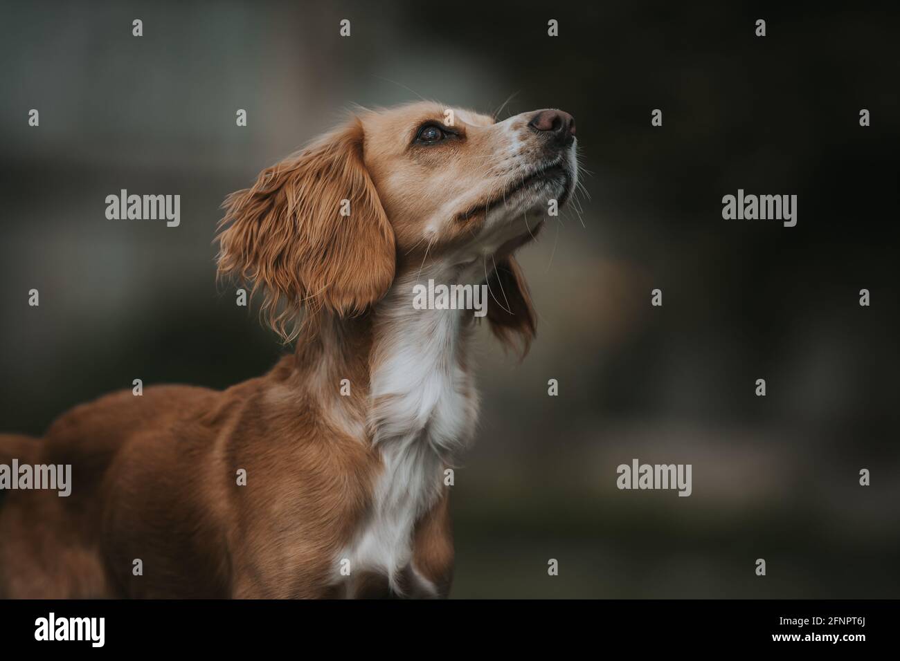 Lola Young High Resolution Stock Photography and Images - Alamy