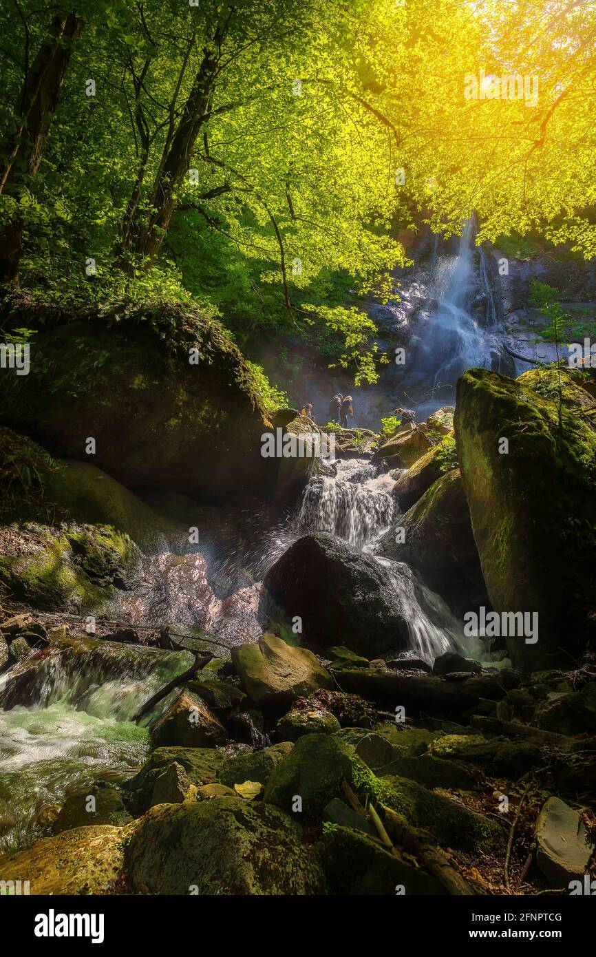 Mountain waterfall in spring forest Stock Photo - Alamy