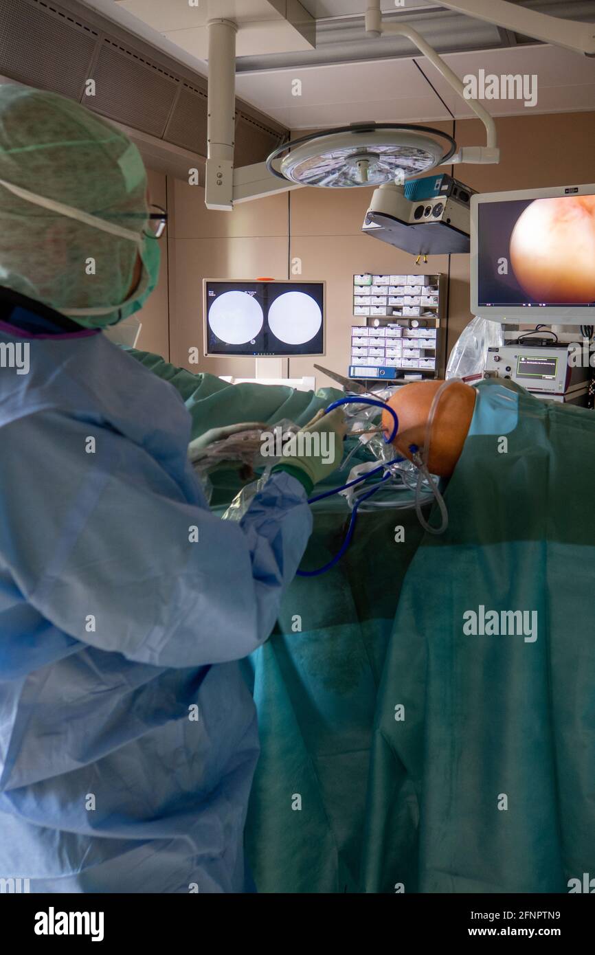doctor performs a surgical knee endoscopy in an operating room Stock ...