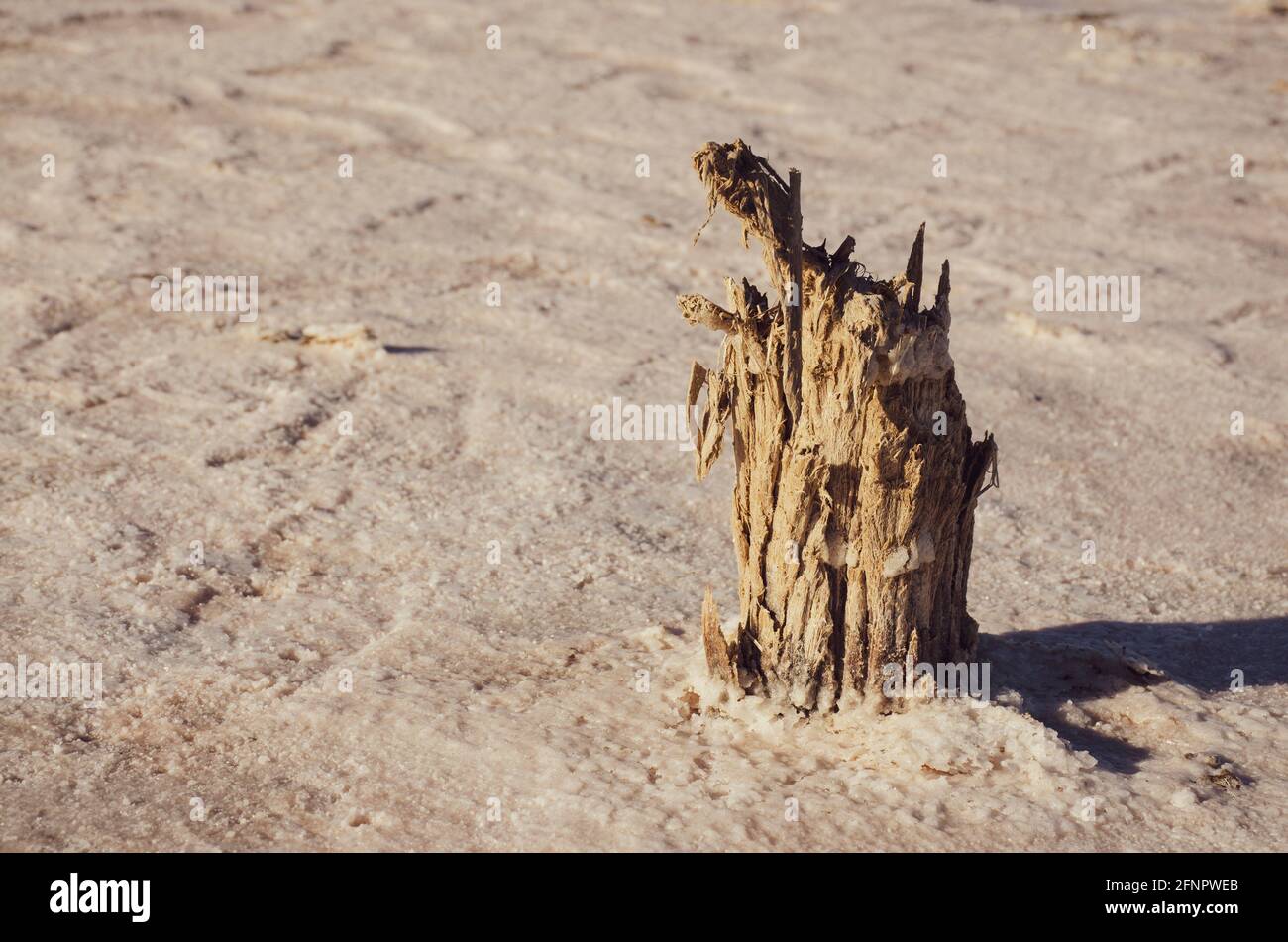 Rotten wooden pole hi-res stock photography and images - Alamy