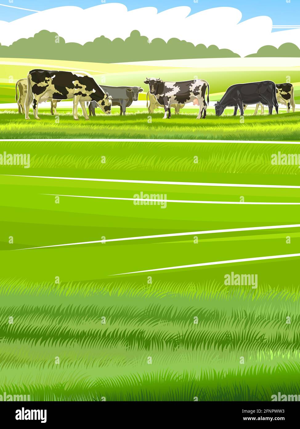 Cows herd breeding Stock Vector Images - Alamy