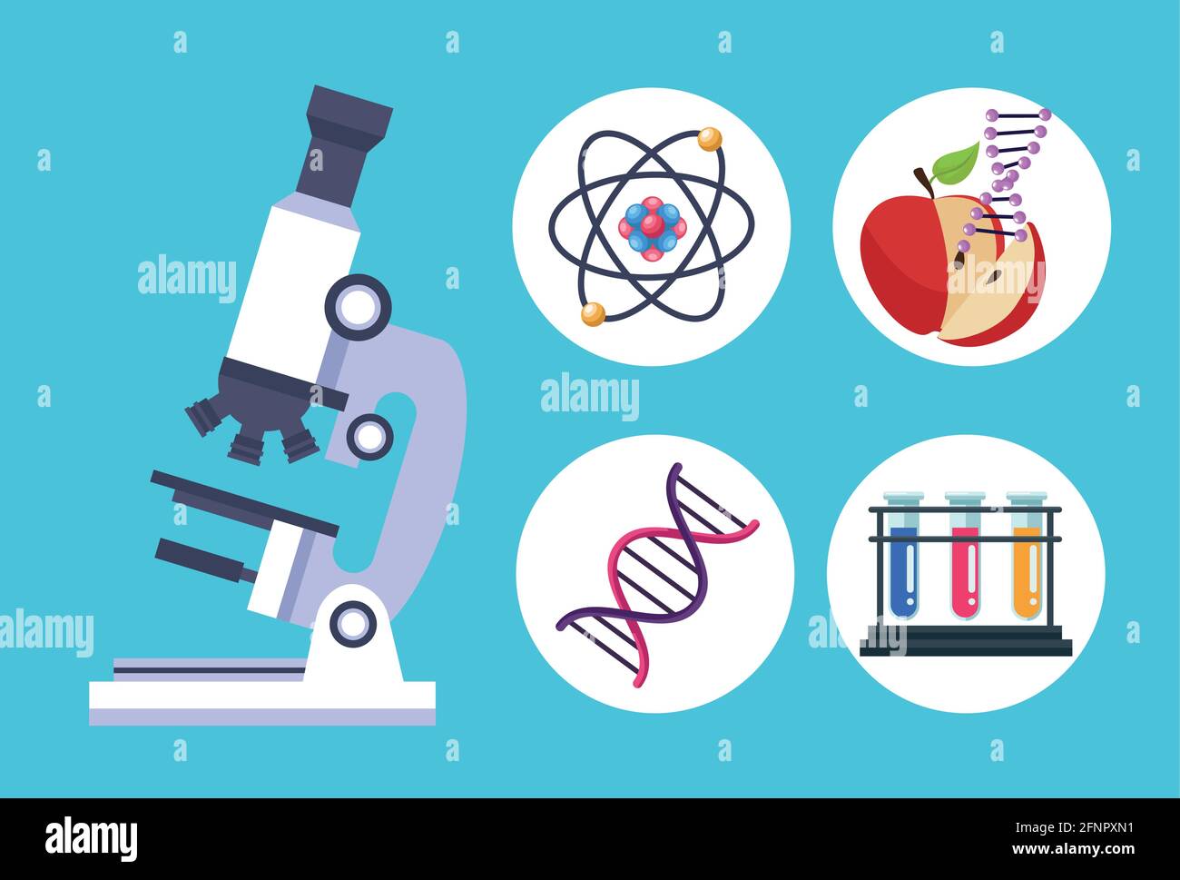 five genetic testing items Stock Vector Image & Art - Alamy