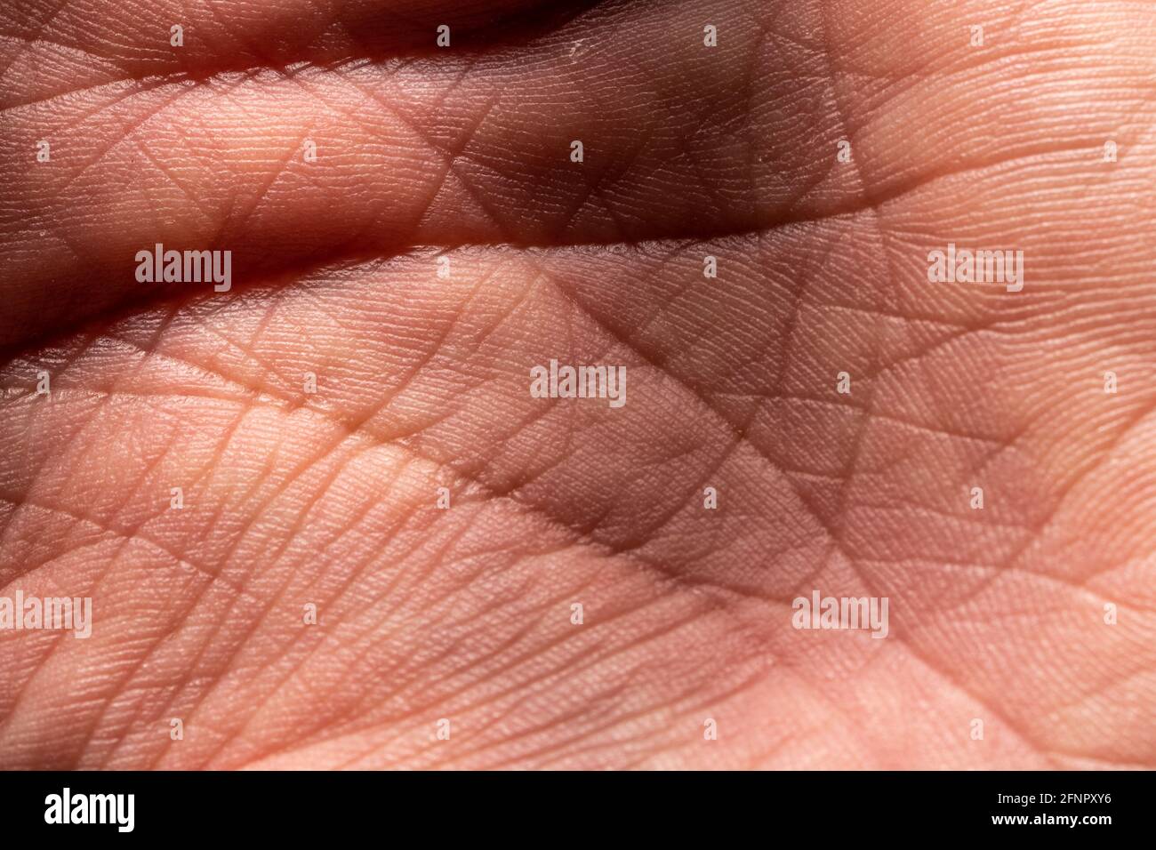 Photo showing super detailed skin texture. Palm hand macro photography ...