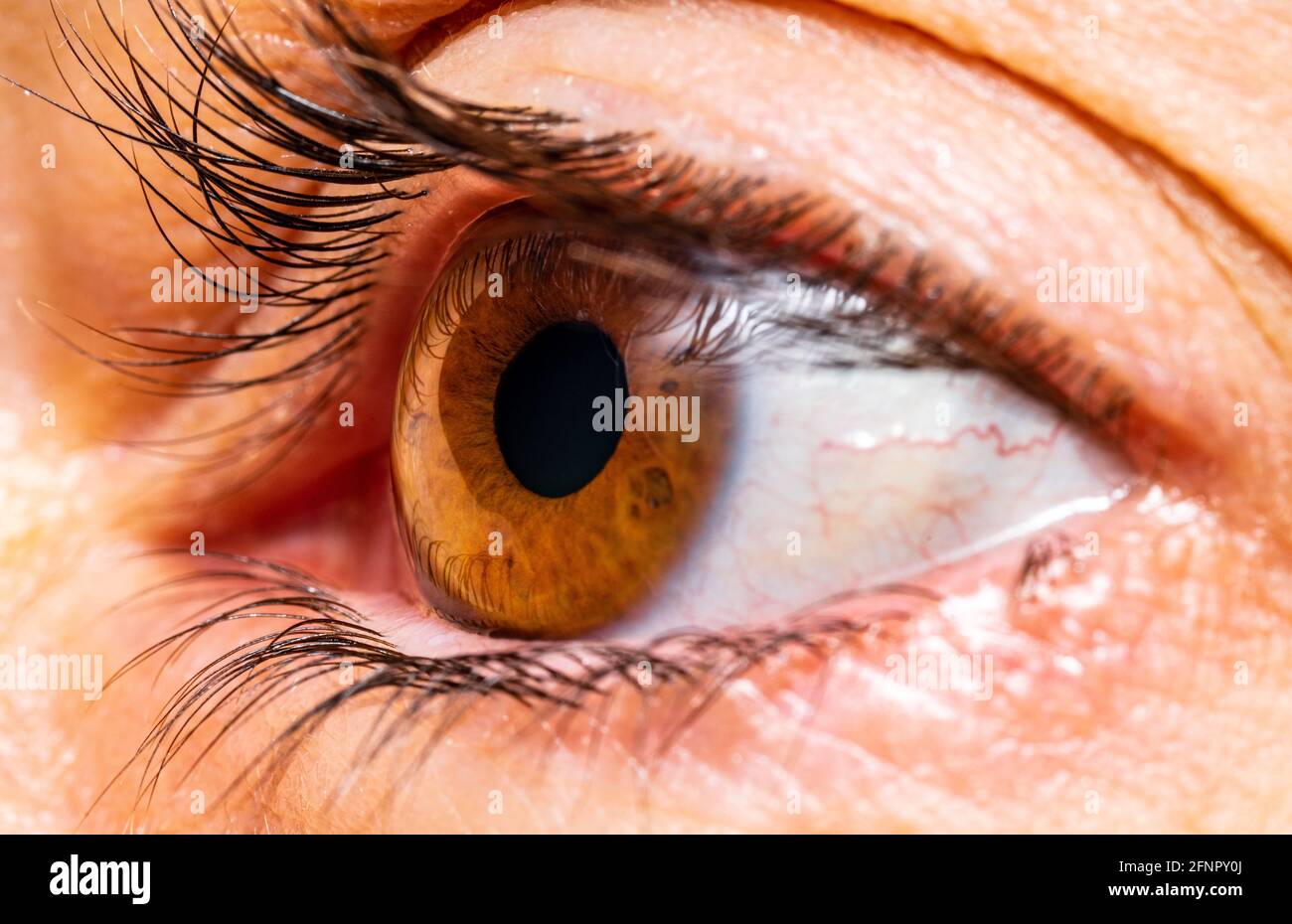Human eye macro hi-res stock photography and images - Alamy