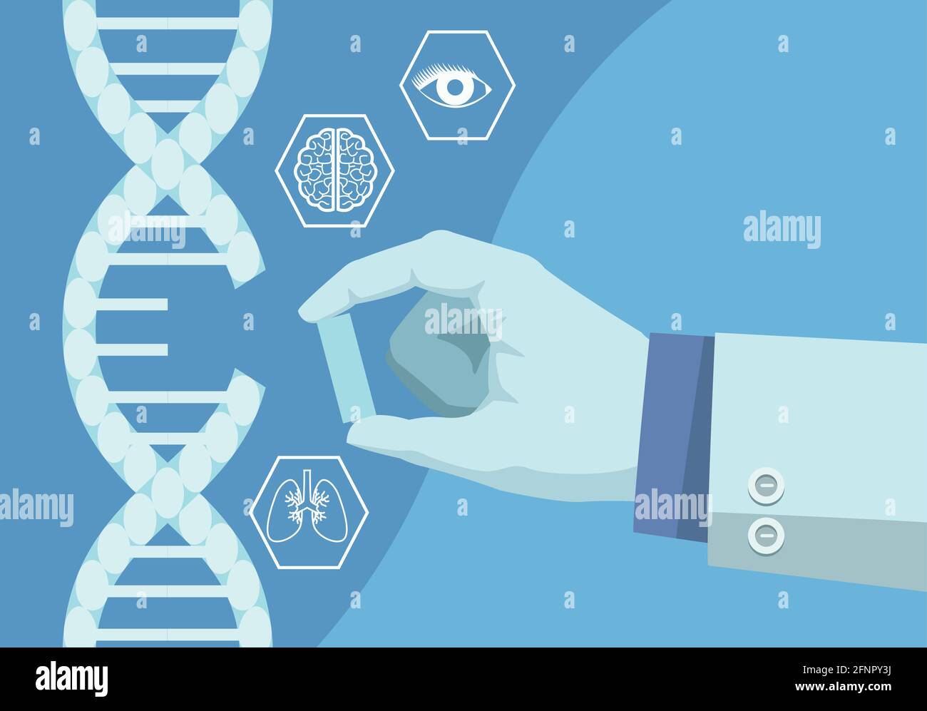 scientist hand working Stock Vector Image & Art - Alamy