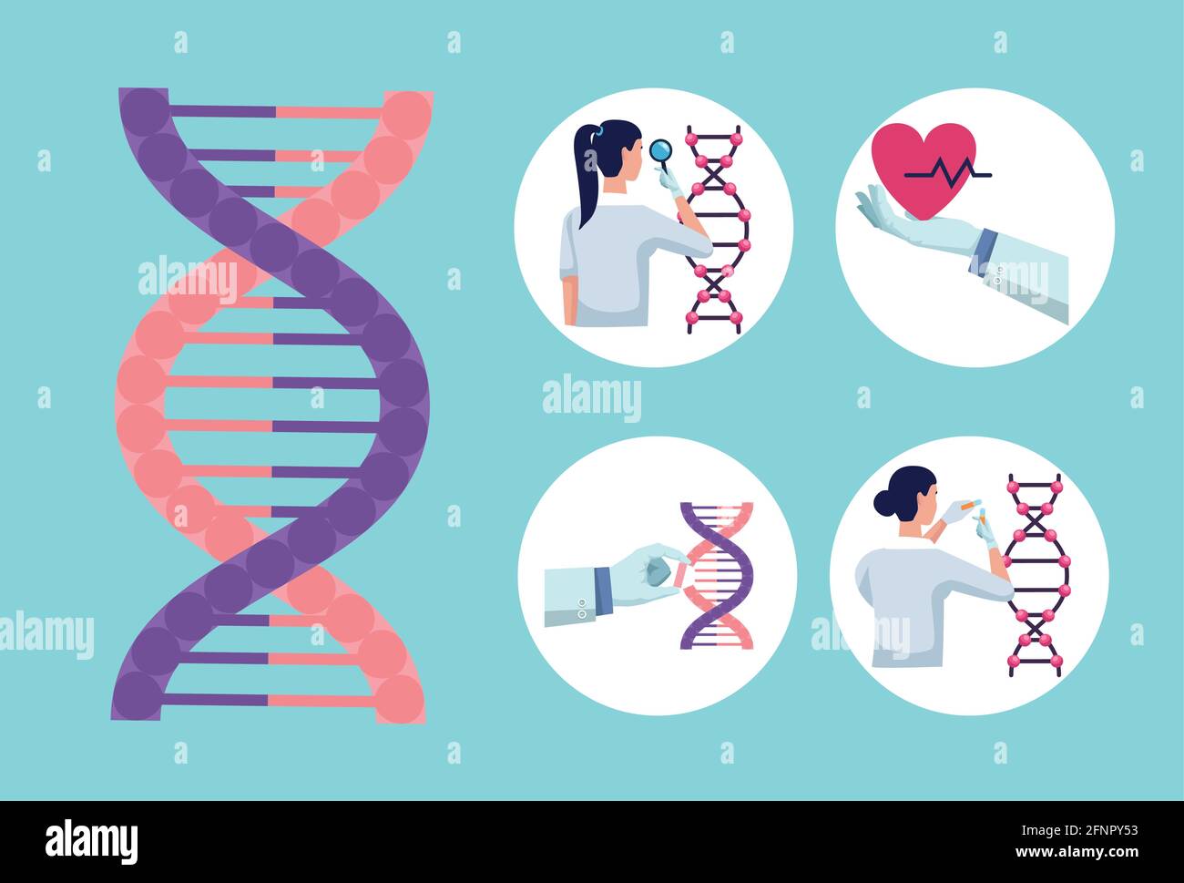 Scientists laboratory genetics Stock Vector Images - Alamy