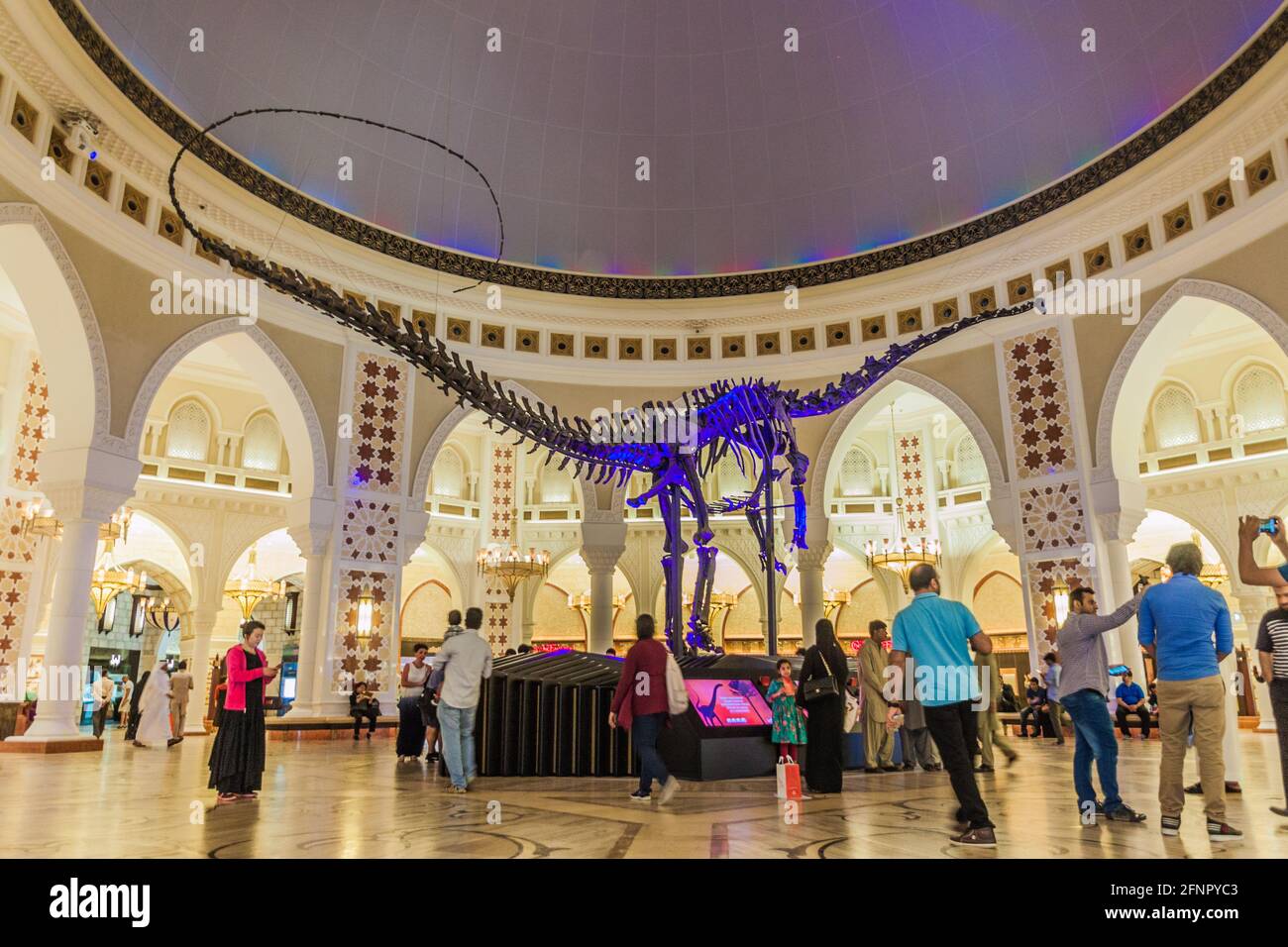 DUBAI, UAE - MARCH 10, 2017: Dinosaur (Diplodocus longus) skeleton the ...