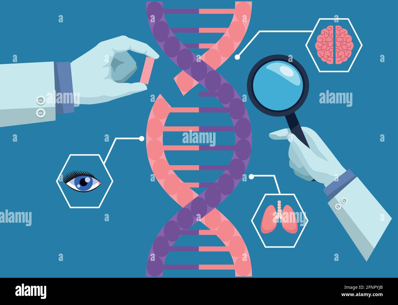 Hands dna Stock Vector Images - Alamy