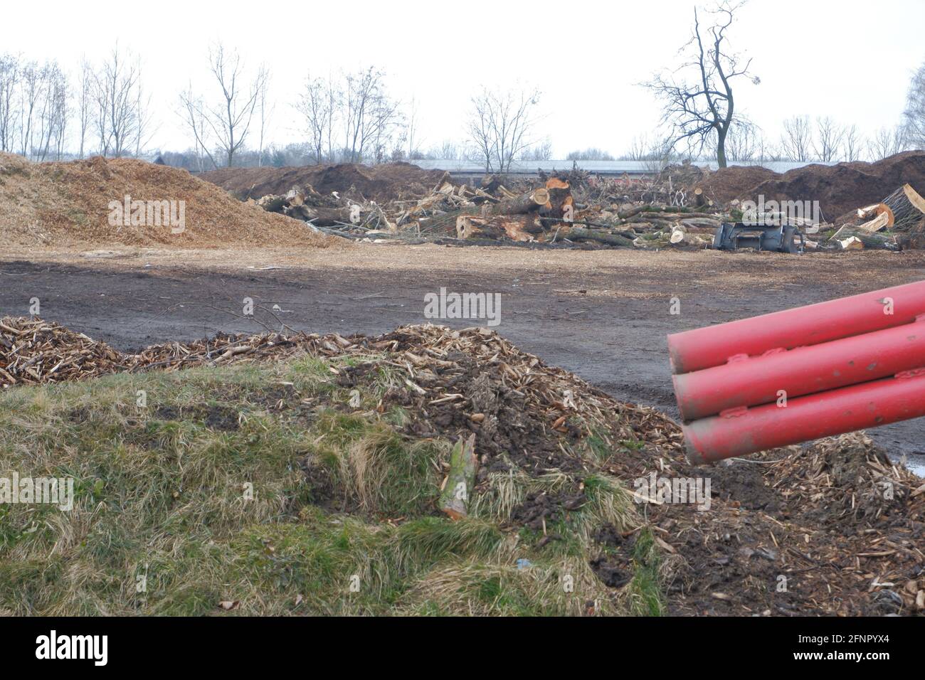 Woodworking waste dump. Environmental safety concept Stock Photo - Alamy