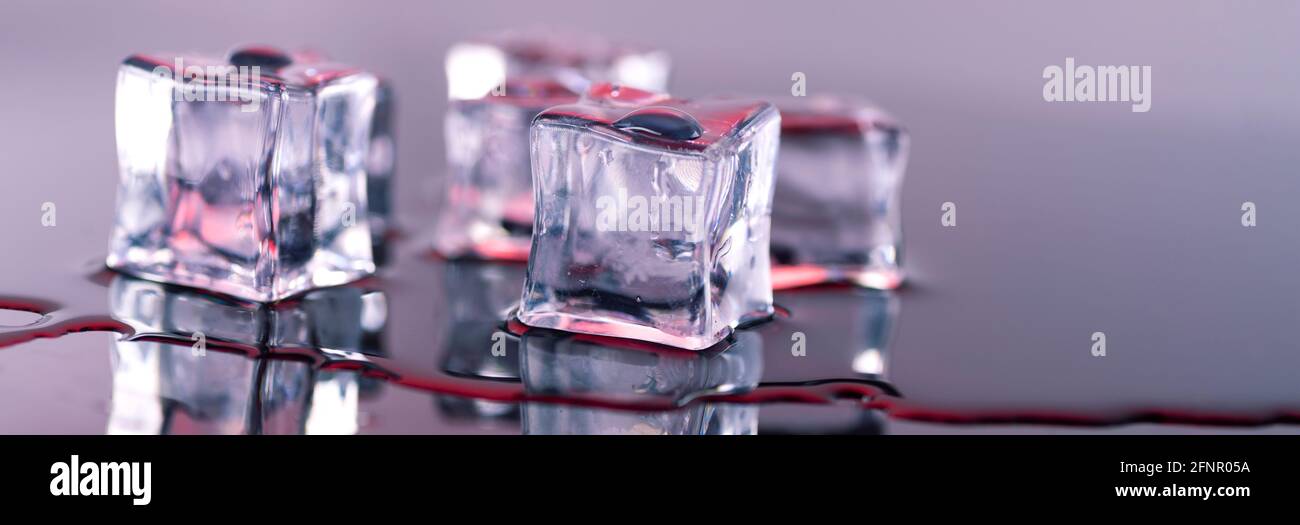 Wet ice cubes in a puddle of water, close up, banner photo Stock Photo ...