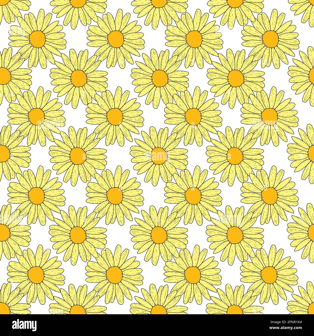 Vector white background daisy flowers and wild flowers. Seamless ...