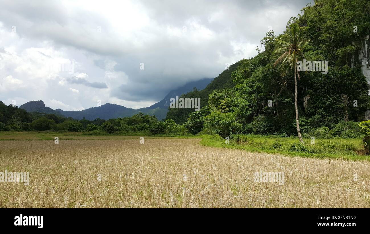 A view of a cultivated field in the midst of mountains covered in ...