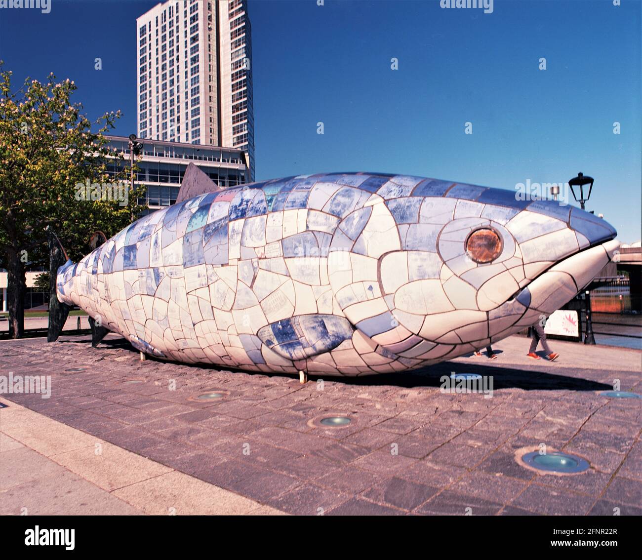 Big fish Laganside Belfast Medium format film street photography Stock ...