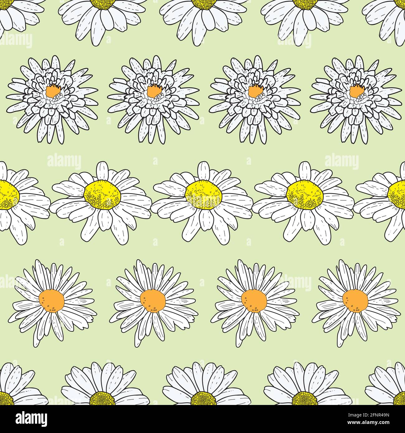 Vector pastel green background daisy flowers and wild flowers. Seamless ...