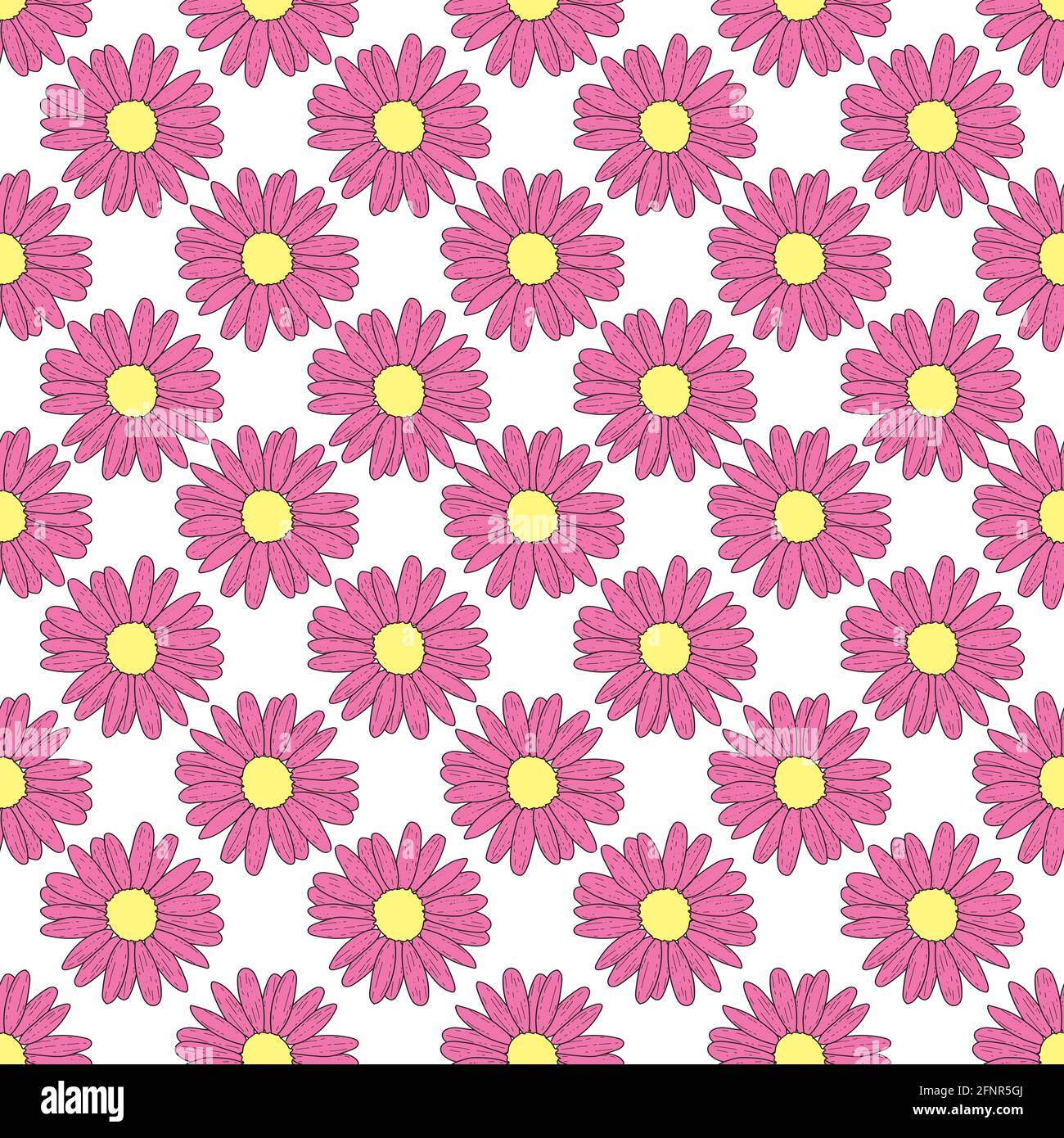 Vector white background pink daisy flowers and wild flowers. Seamless ...