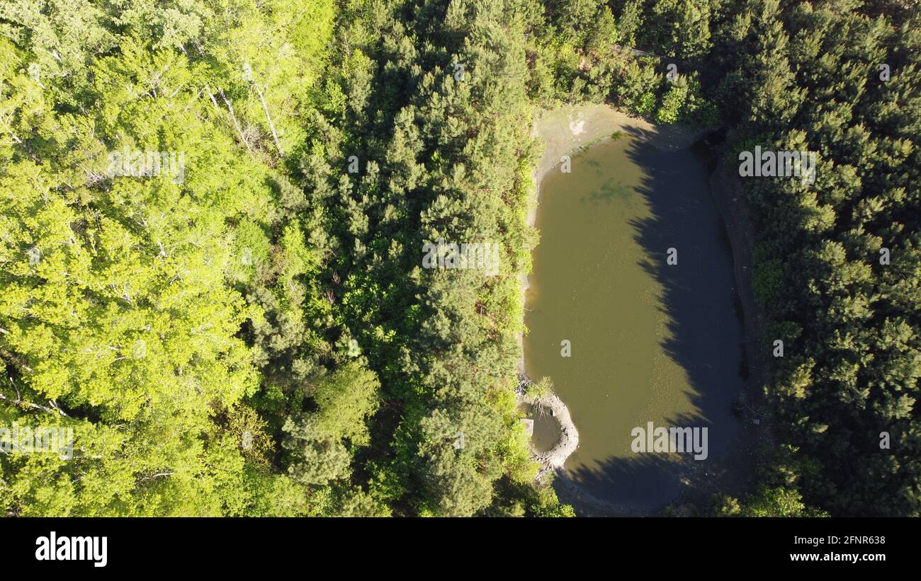 Aerial photo of pond and trees taken from drone in 4k Stock Photo - Alamy
