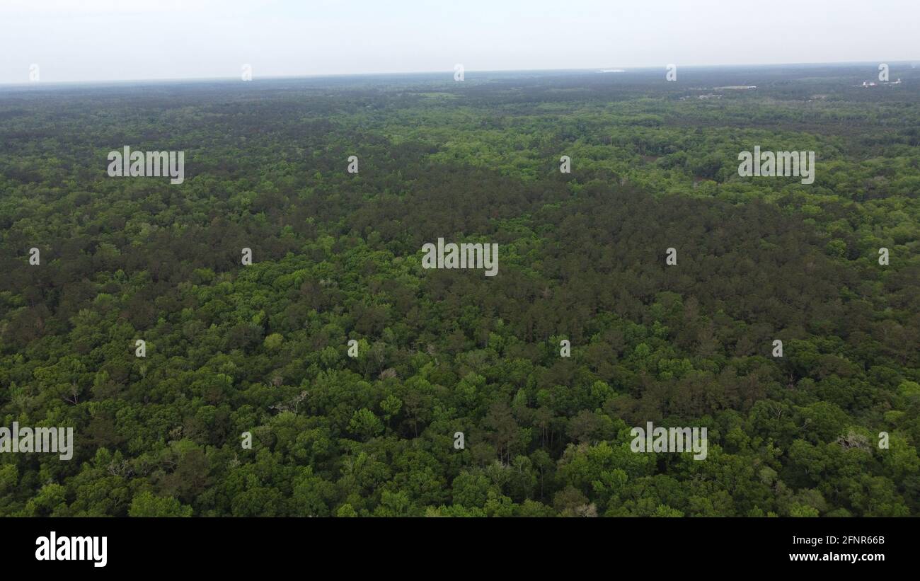 Aerial photo of Florida landscapes taken by drone in 4k Stock Photo - Alamy