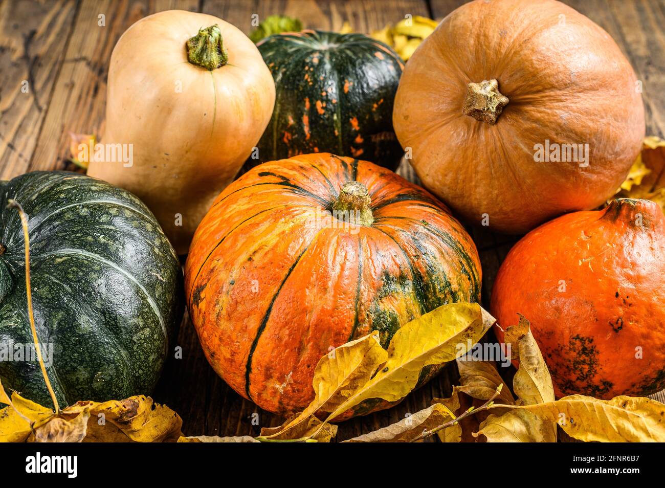 Autumn pumpkin frame in Halloween colors orange. Wooden background. Top ...