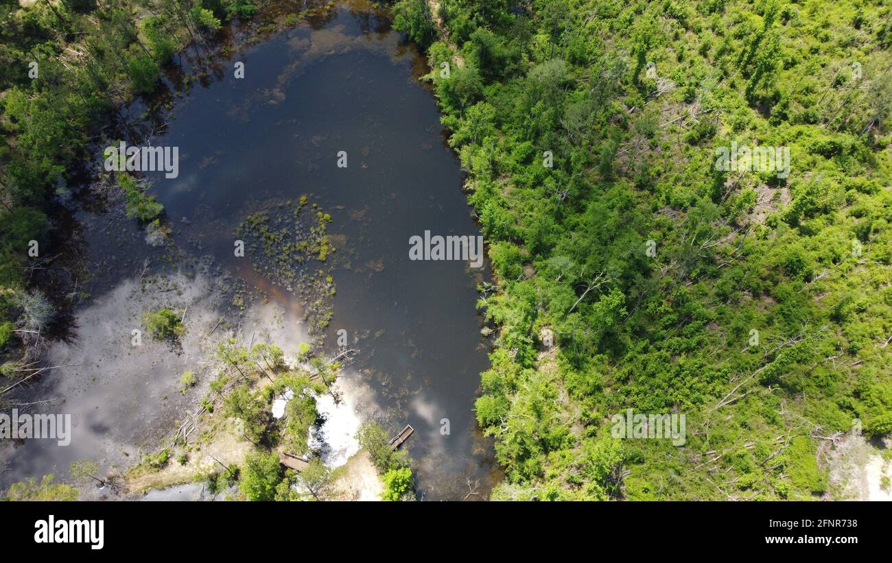 Aerial photo of ponds and lakes in Florida taken by drone in 4k Stock ...