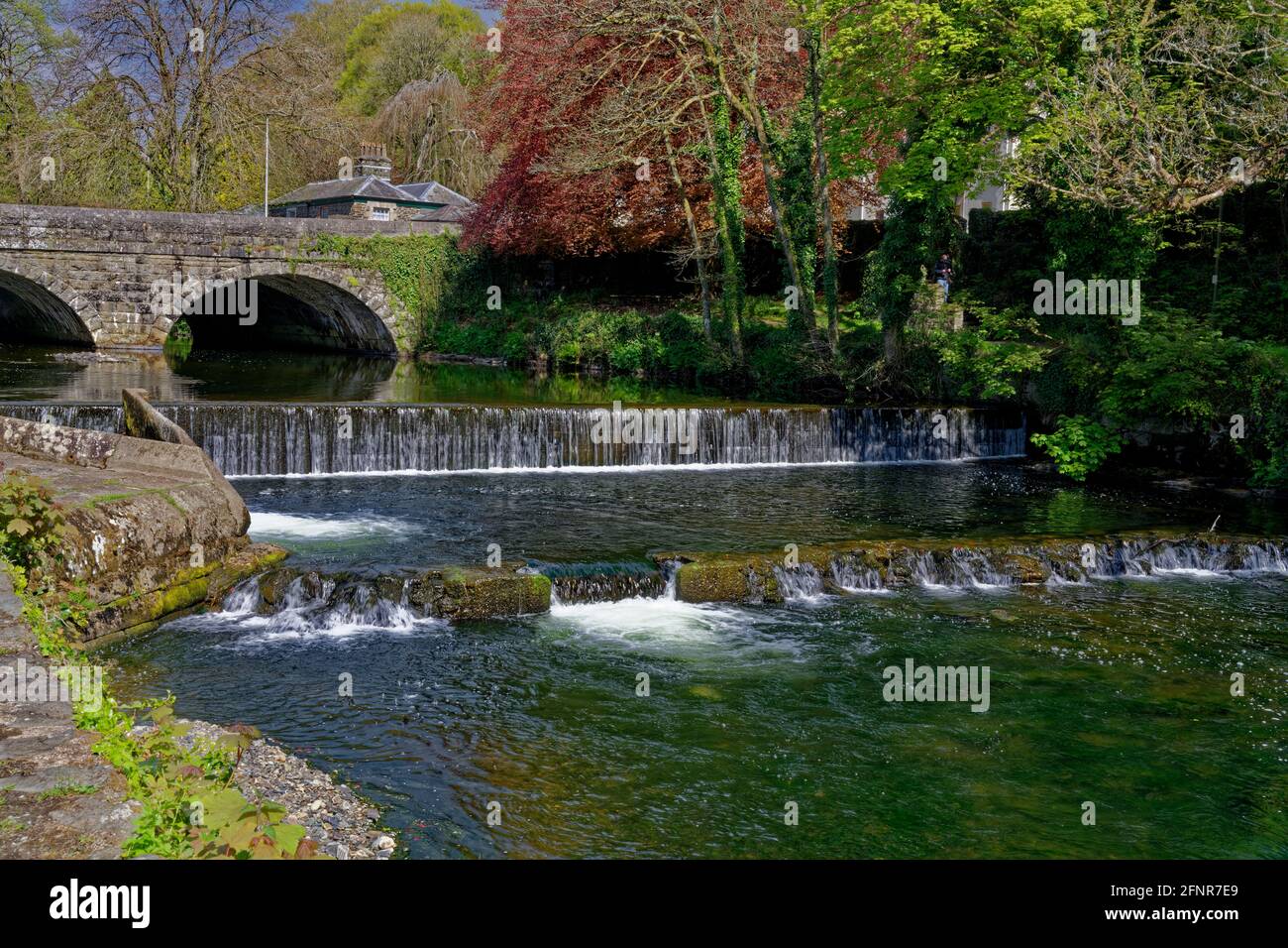 View of bridge over river Tavy in Tavistock, West Devon Stock Photo - Alamy