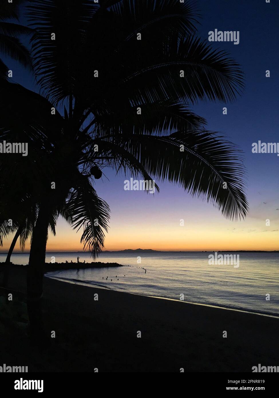 Palm Tree Silhouette At Sunset Stock Photo - Alamy