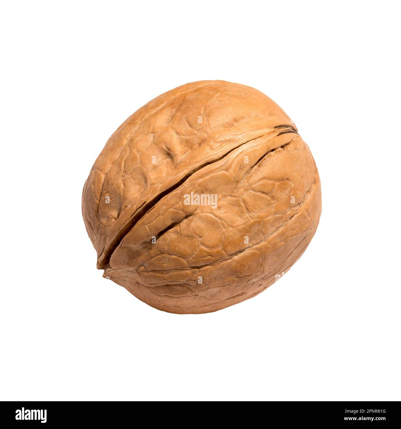 Walnut with shell hi-res stock photography and images - Alamy