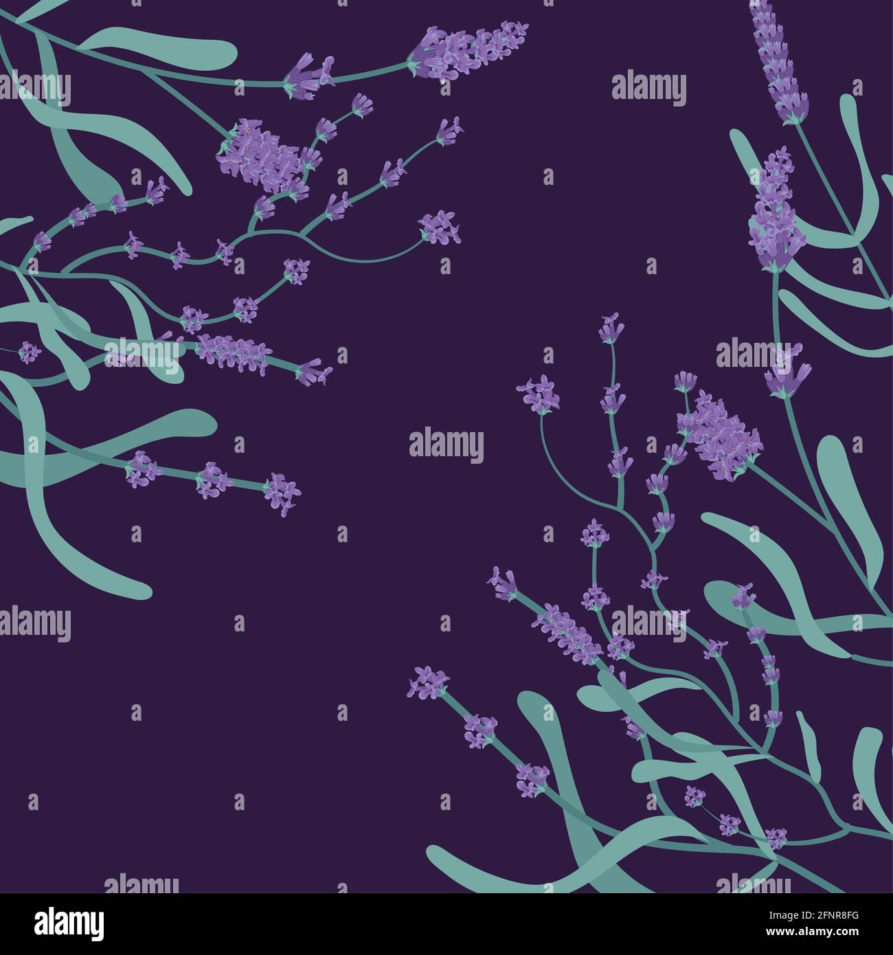 Watercolor lavender color background Stock Vector Images - Alamy