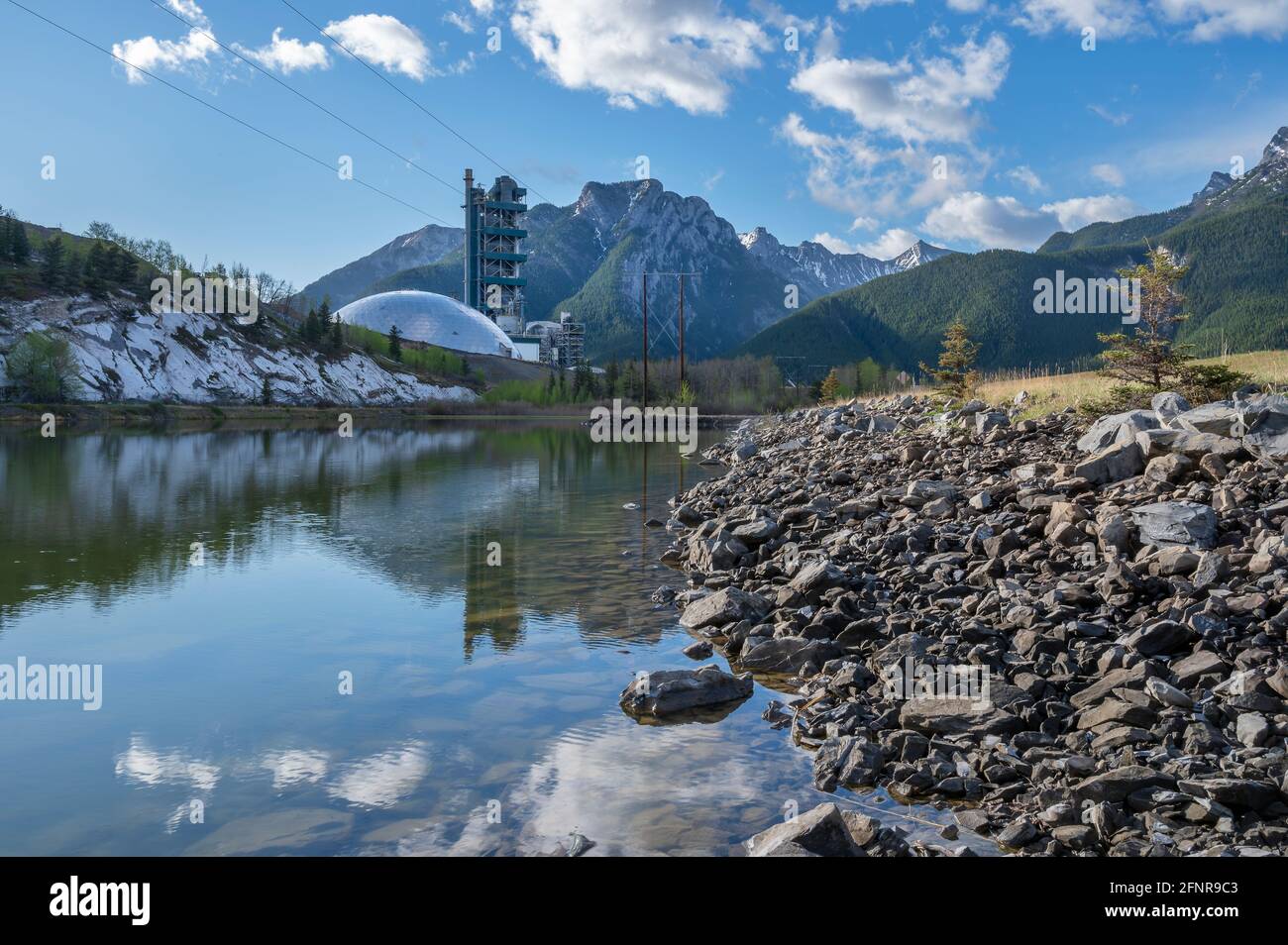 Plant exshaw hi-res stock photography and images - Alamy