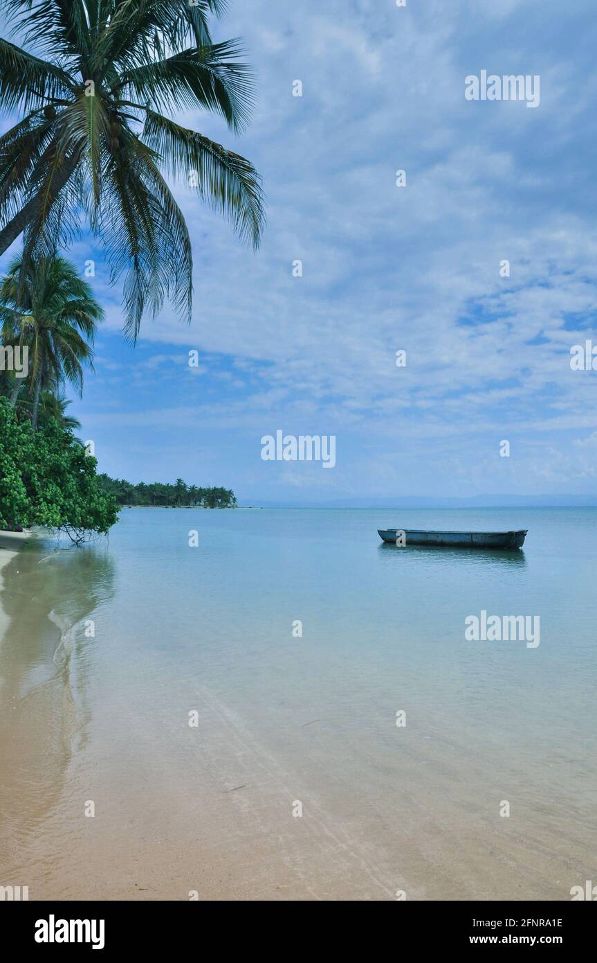 Beautiful view of the sea with trees on the beach Stock Photo - Alamy