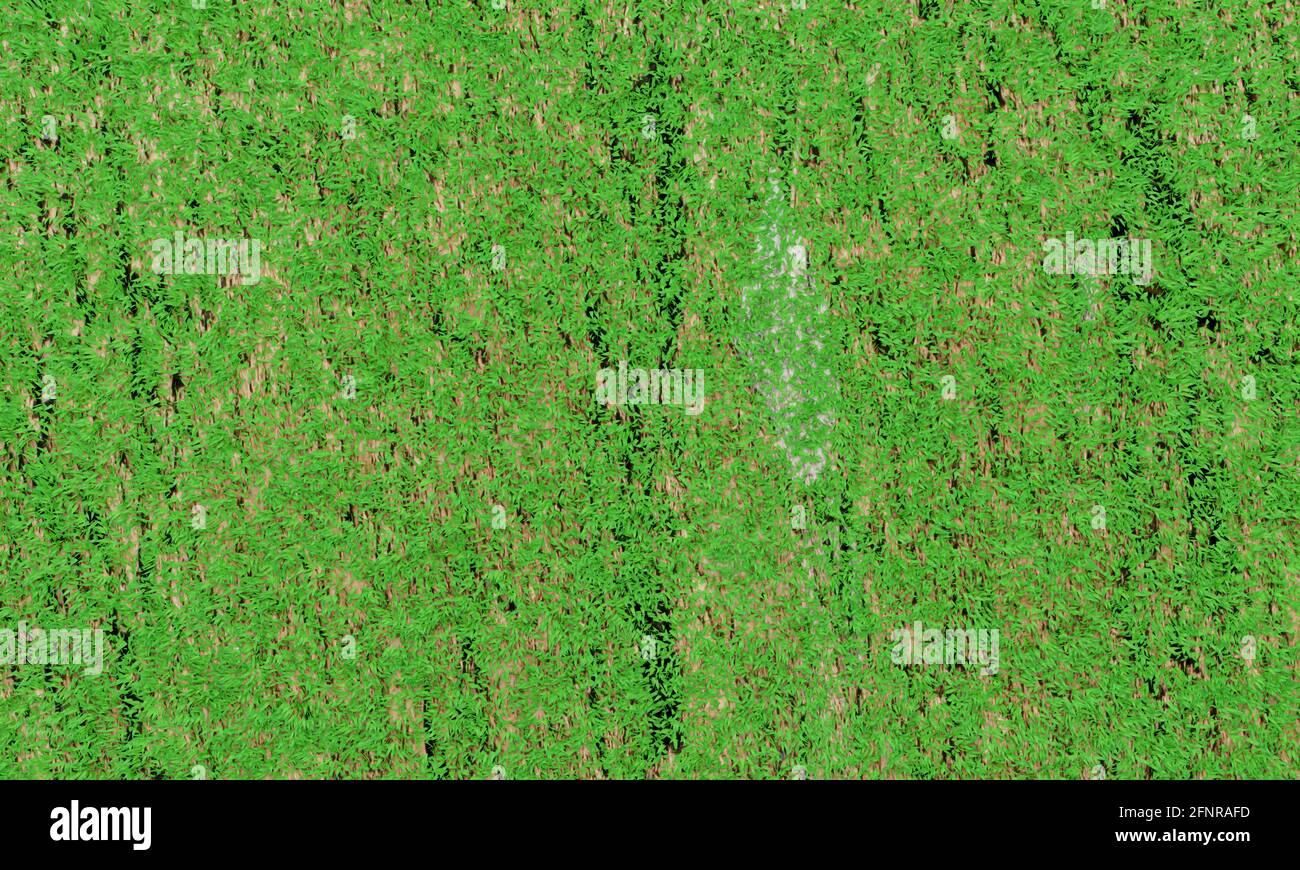 3D rendering. Green grass lawn texture background. top view Stock Photo ...