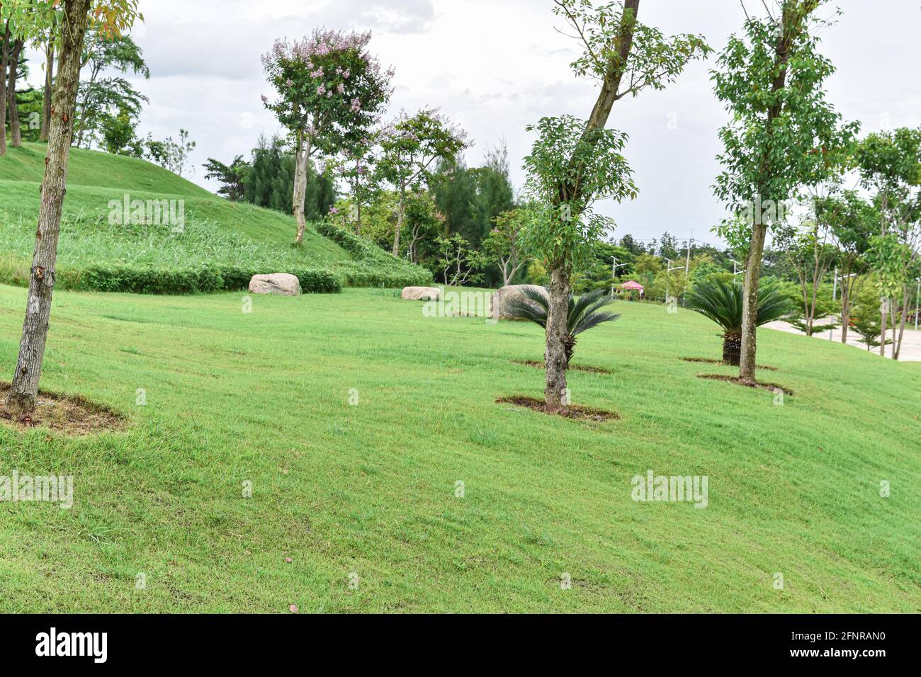 Outside green space landscape trees hi-res stock photography and images ...