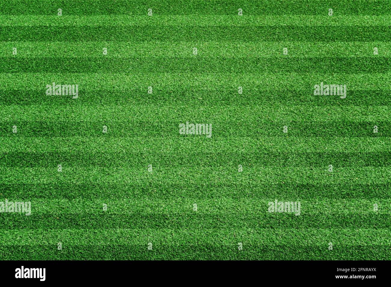 Striped lawn hi-res stock photography and images - Alamy