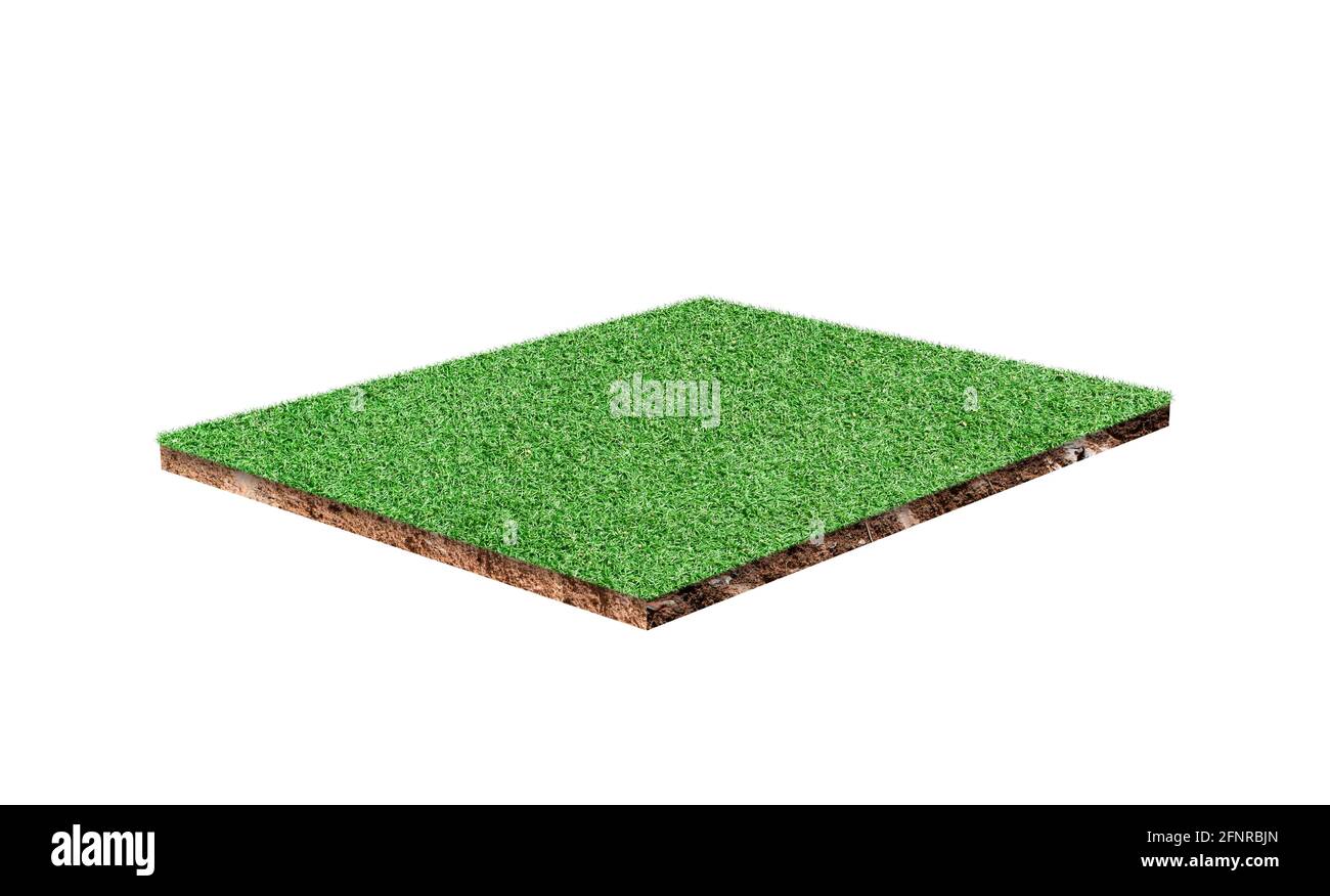 Soil cubic geology cross section with green grass field isolated on ...