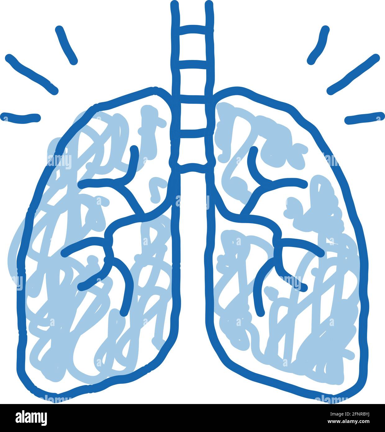 healthy lungs doodle icon hand drawn illustration Stock Vector Image ...