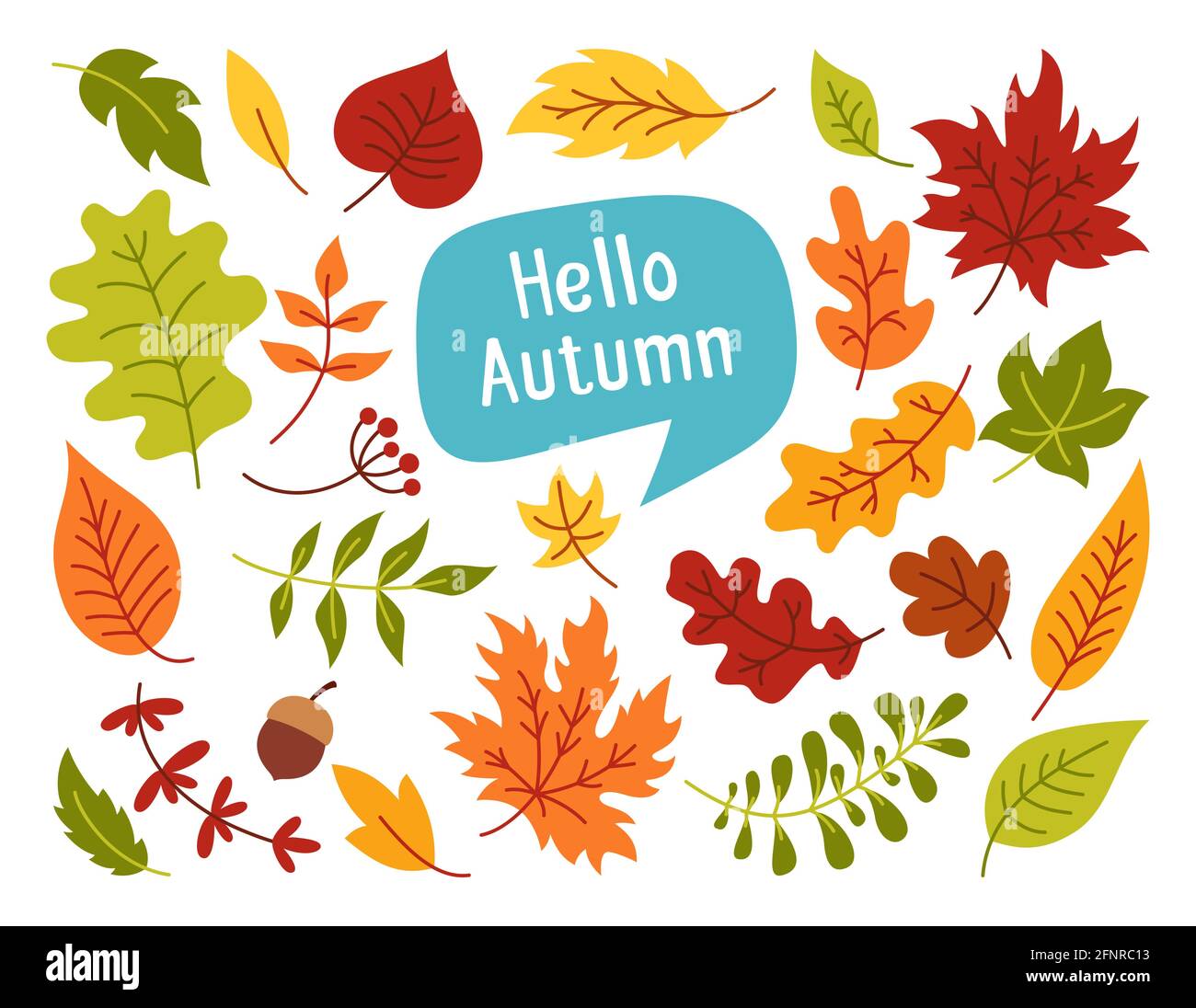 Autumn leaves and berries, hand drawn colorful trendy cartoon set. Flat ...