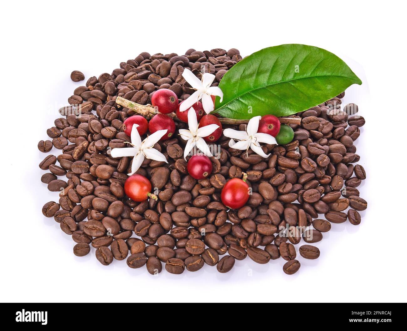 Coffee beans and green leaf and white flower isolated on white ...