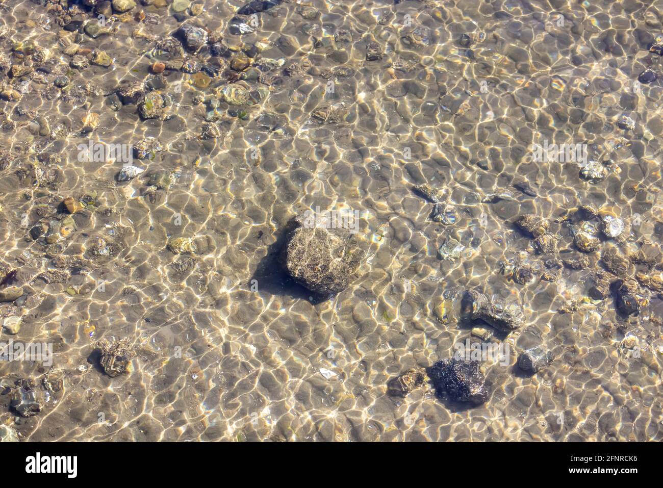 rocks under the shallow water on a beach Stock Photo - Alamy