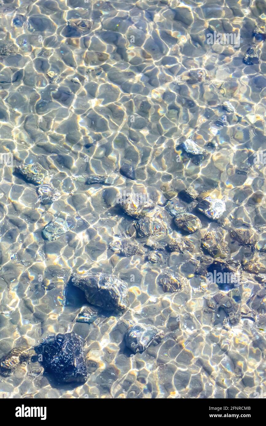rocks under the shallow water on a beach Stock Photo - Alamy