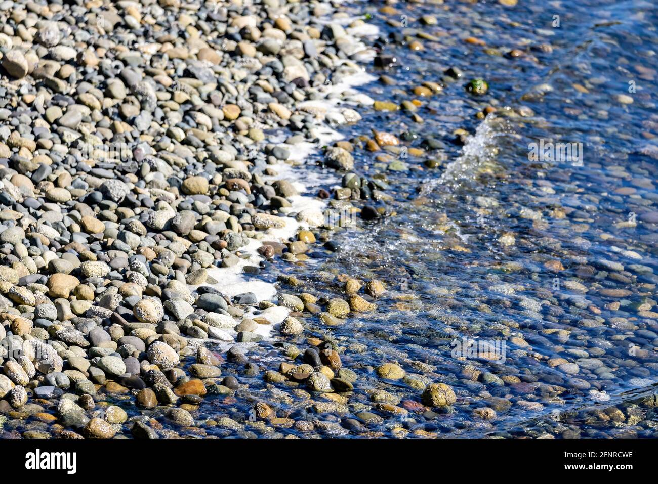 rocks under the shallow water on a beach Stock Photo - Alamy