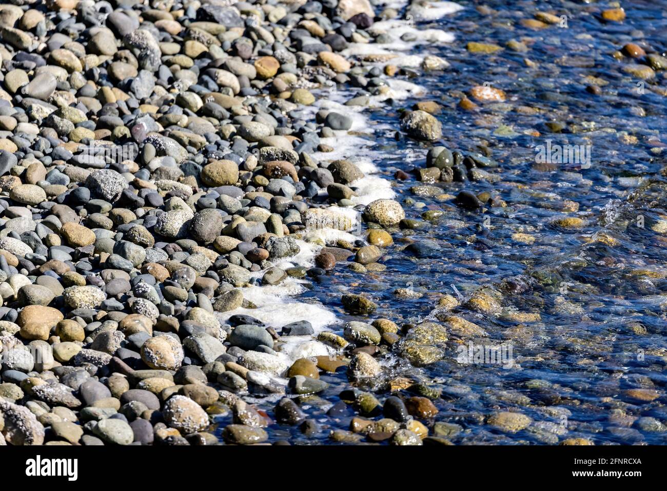 rocks under the shallow water on a beach Stock Photo - Alamy