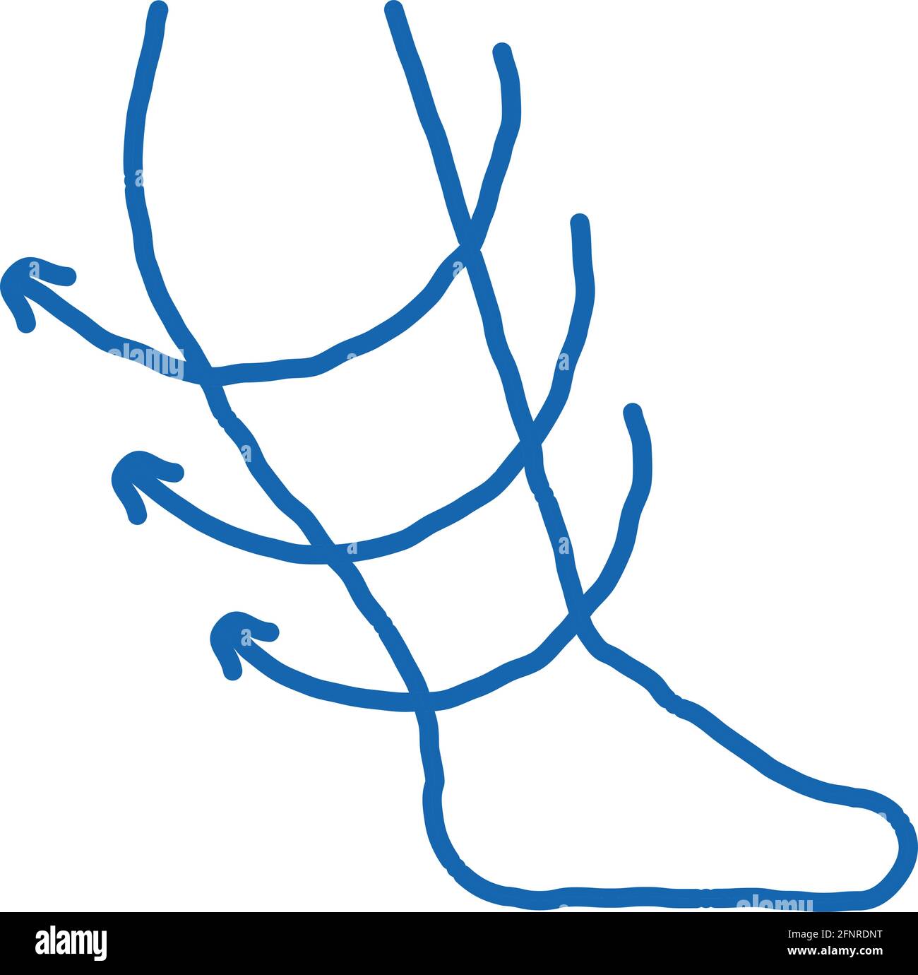 healthy leg doodle icon hand drawn illustration Stock Vector Image ...