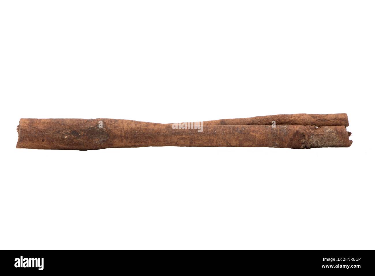 Single cinnamon stick on white background. Front view. Copy Space Stock ...