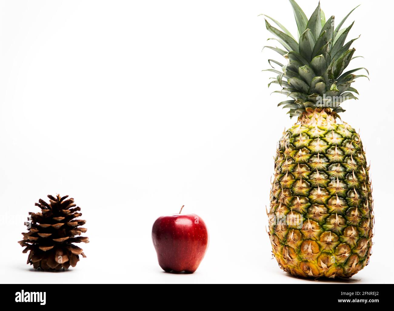 A pine cone with an apple on white background equals a Pineapple. Humor ...