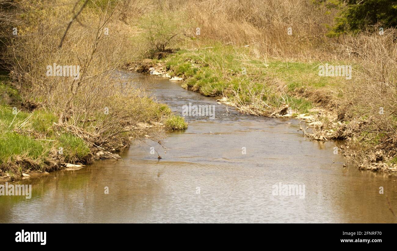 Stream swamp hi-res stock photography and images - Alamy